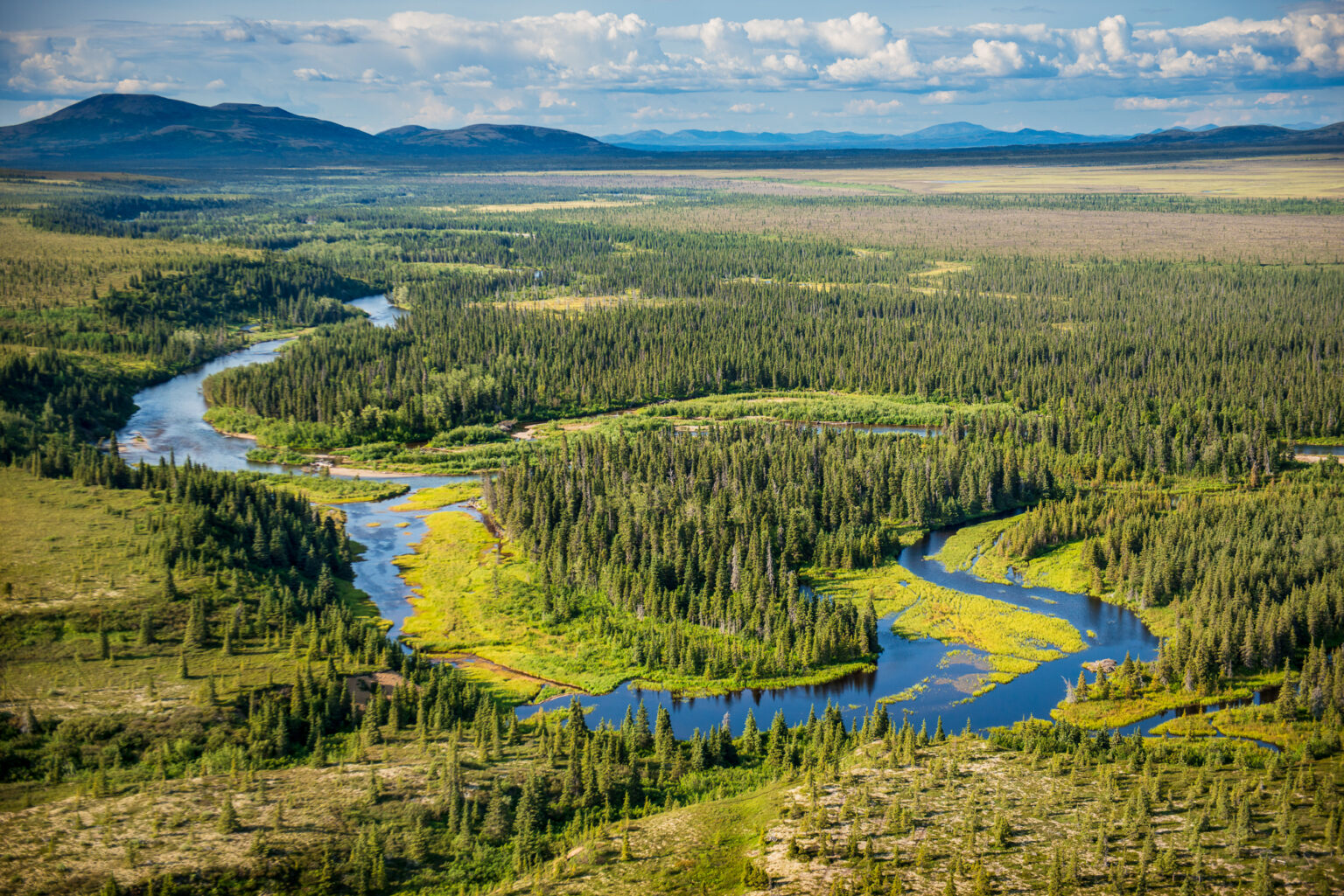 Between a rock and a hard place—hard rock mining’s toxic stew