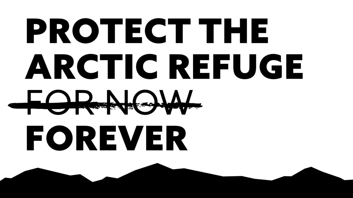 Join day of action to demand forever protections for the Arctic Refuge