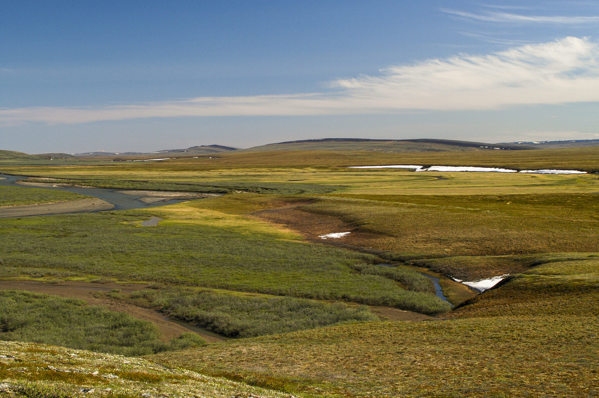 What is the Administrative Procedure Act?