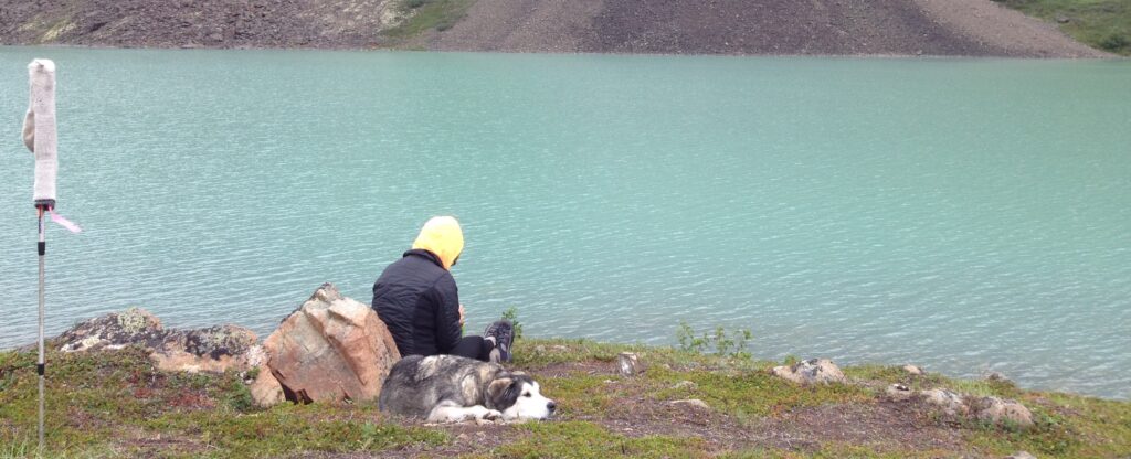 Attorney Michelle Sinnott is back—and still “Into the Wild”