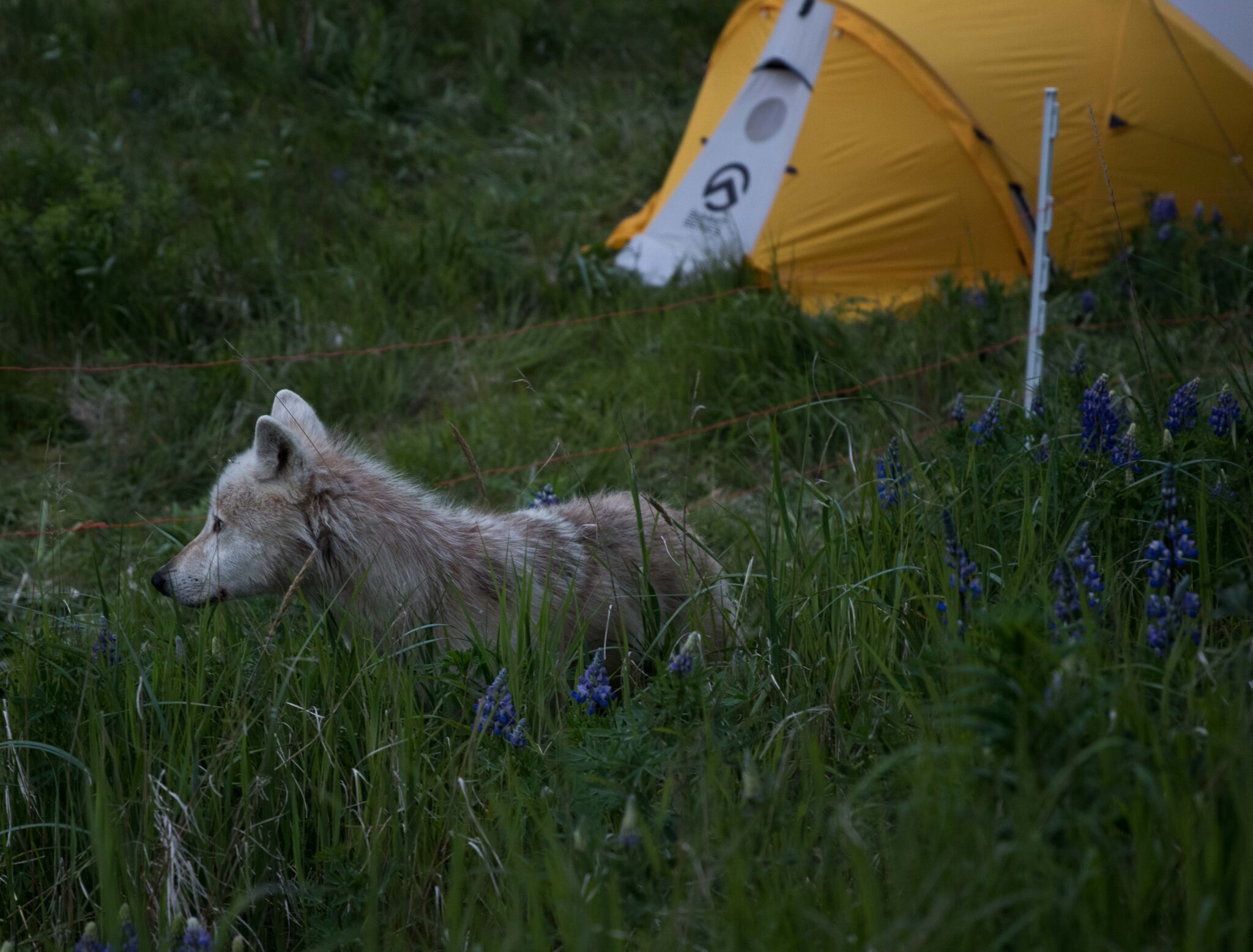 Beyond control: The fight for science, ethics, and coexistence in ...