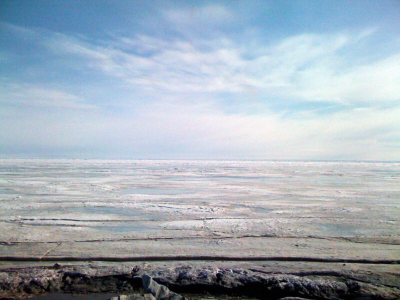 On beings and biomes—sea ice is everyone’s business