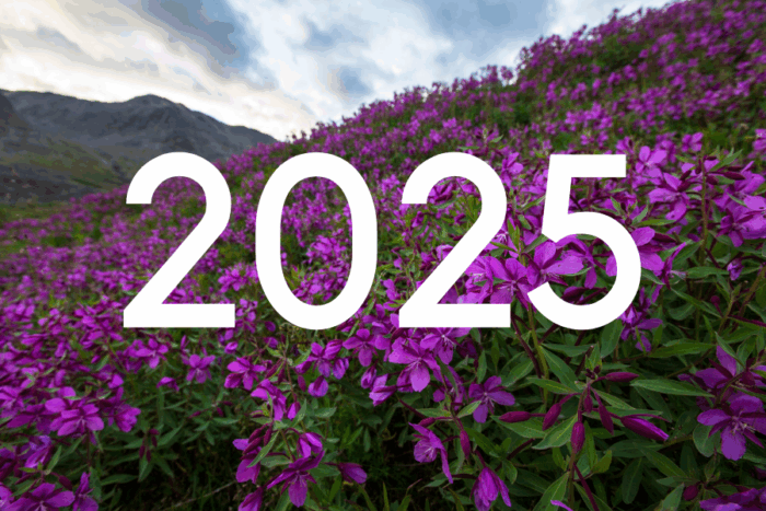 Press releases : 2025